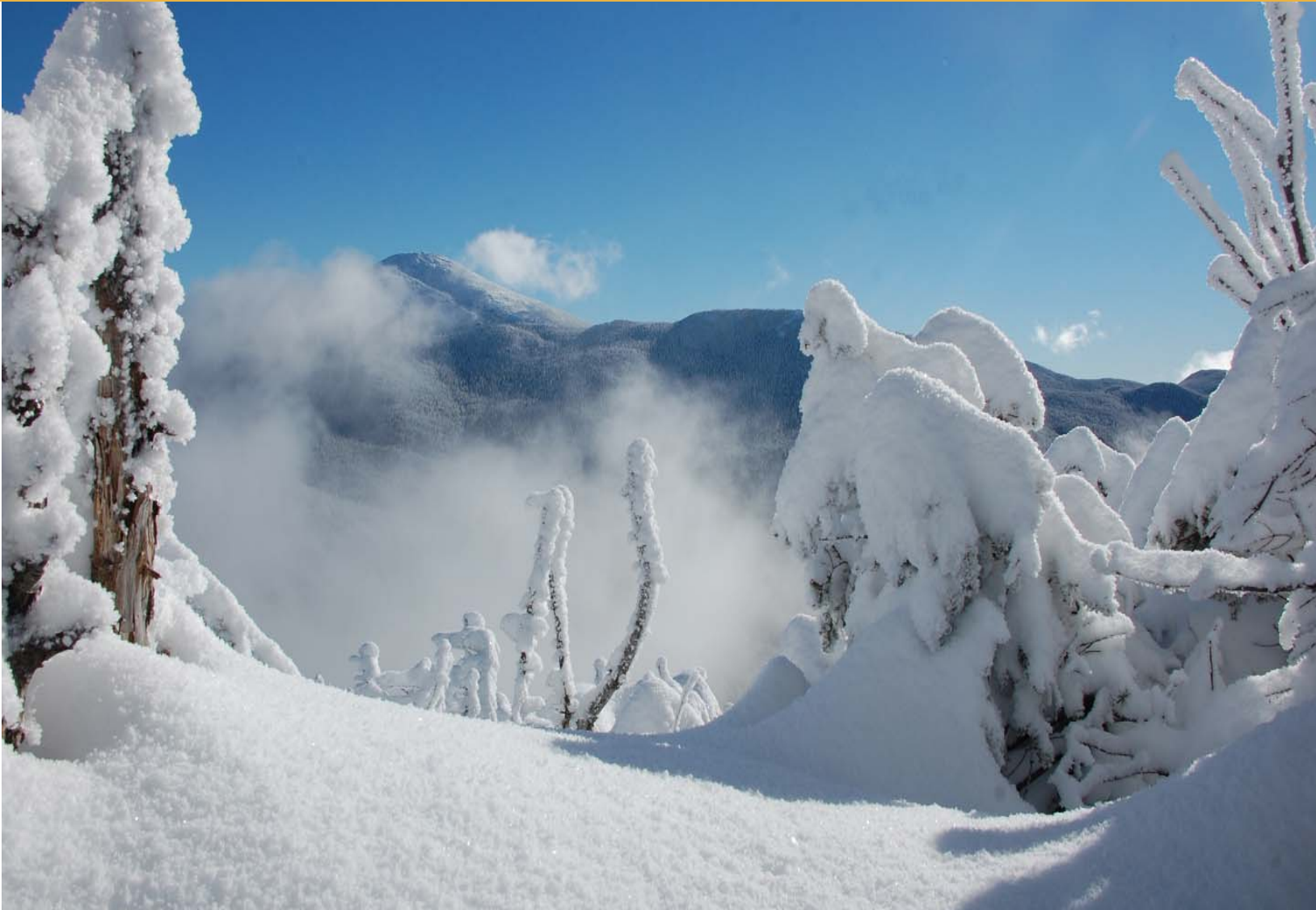 adirondack-snow | Courthouse News Service